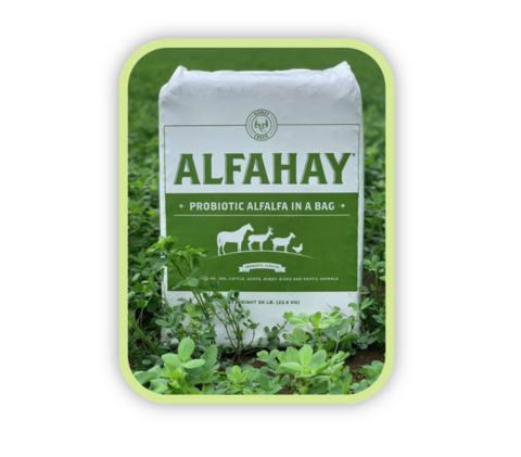 Alfahay, Probiotic Alfalfa, 50 lbs Special Order: Please Call | My Dad ...